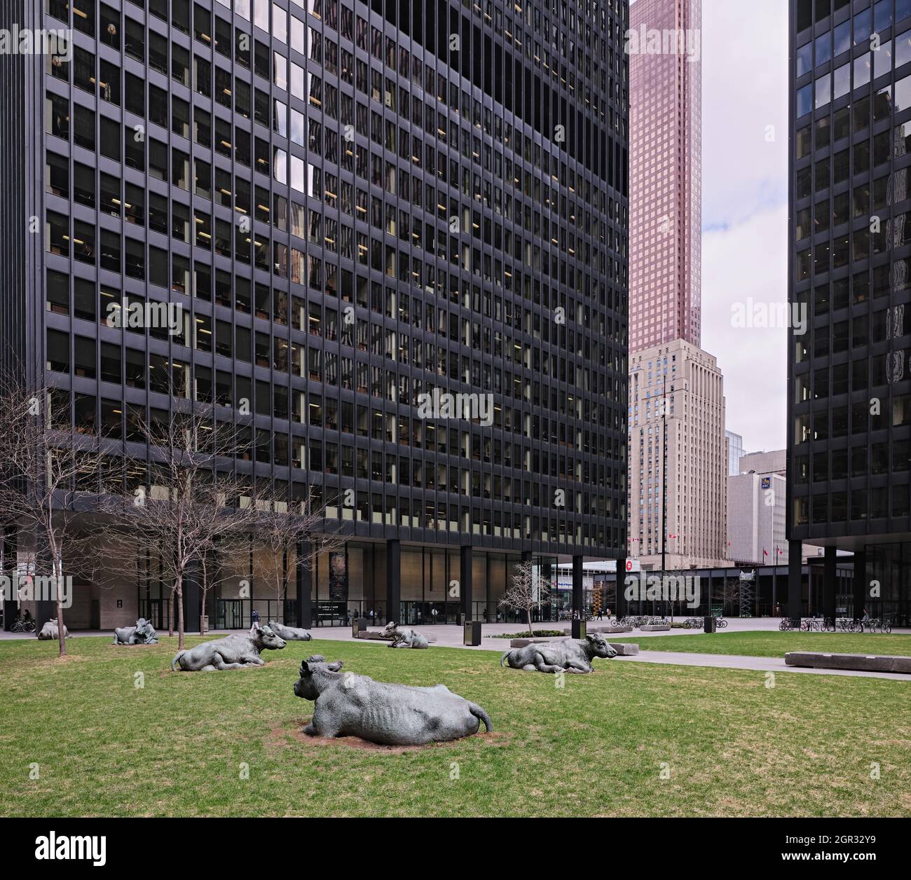 Toronto Dominion Centre Stock Photo - Alamy