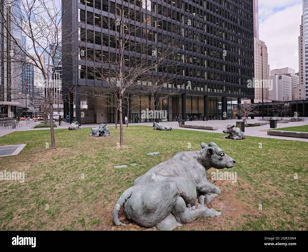 Toronto Dominion Centre Stock Photo - Alamy