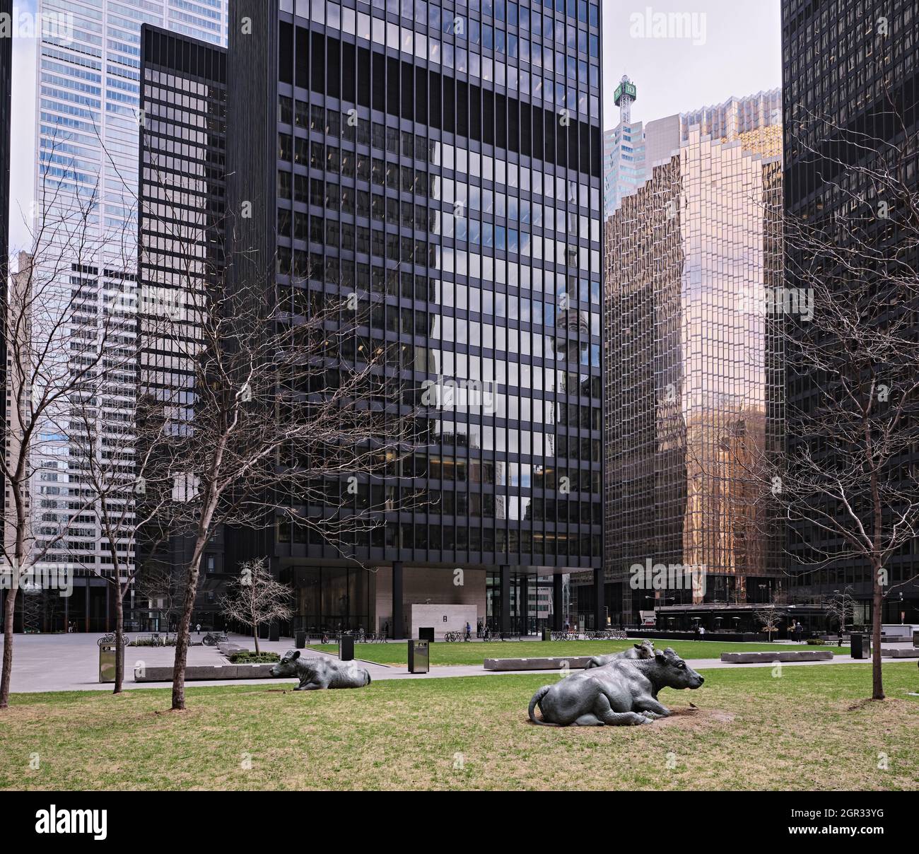 Td bank tower building td centre hi-res stock photography and images ...