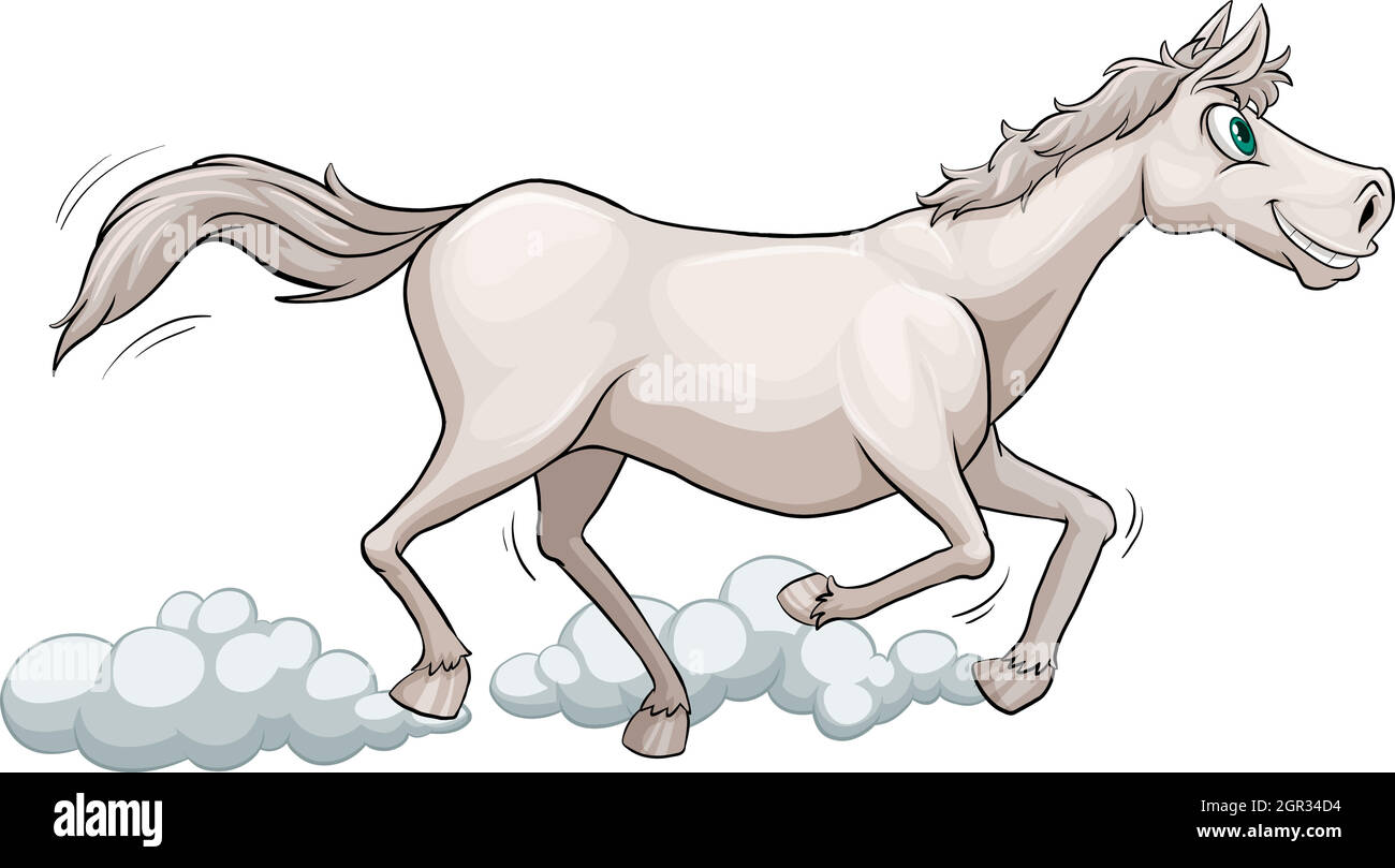 Beautiful white horse on Stock Vector Images - Alamy