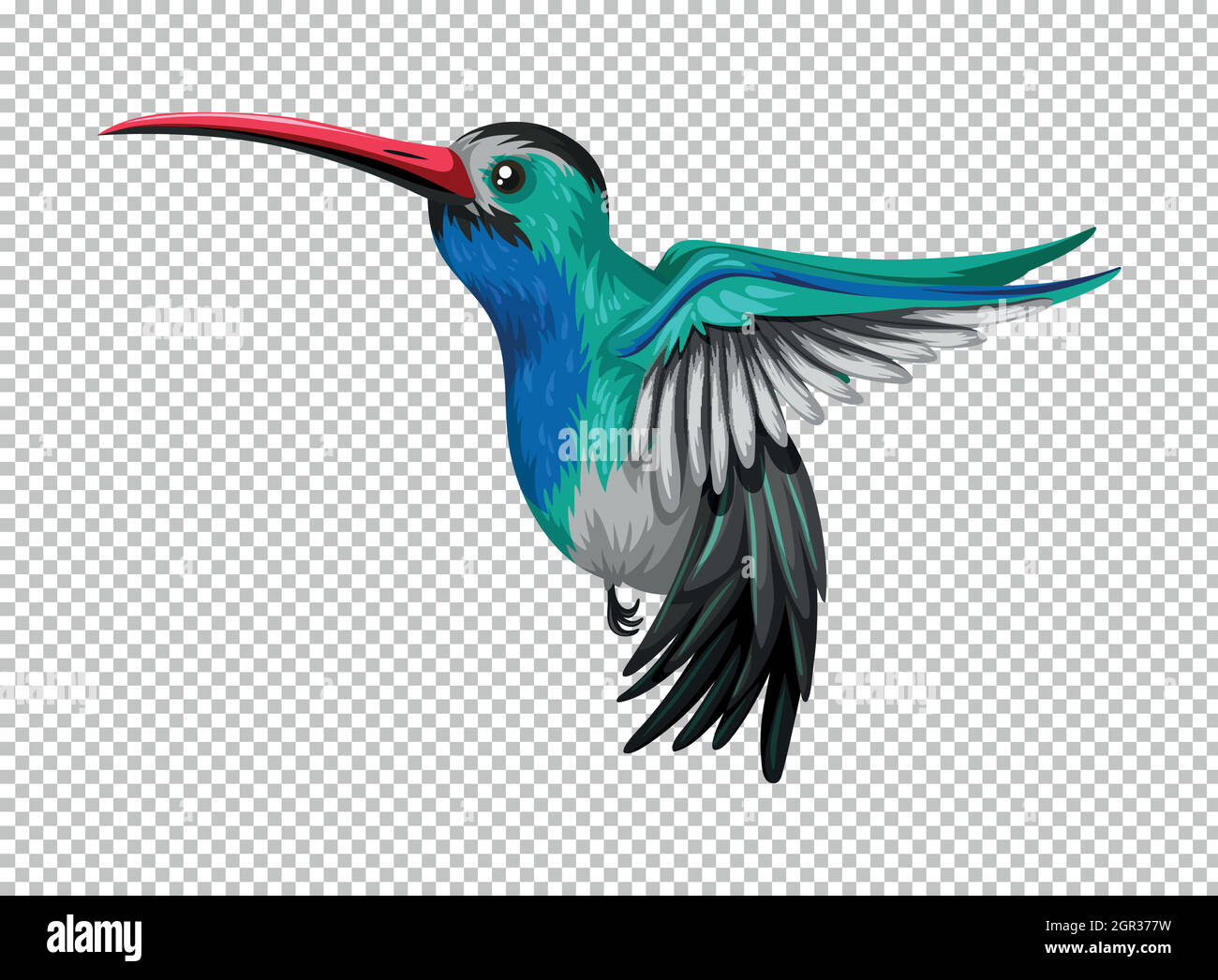 Hummingbird flying on transparent background Stock Vector Image & Art ...