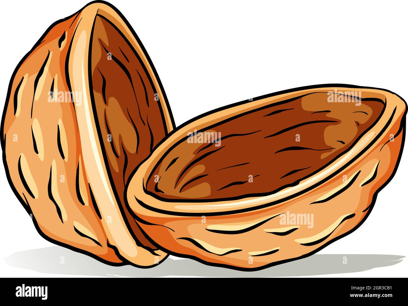 Texture surface shell shell Stock Vector Images - Alamy