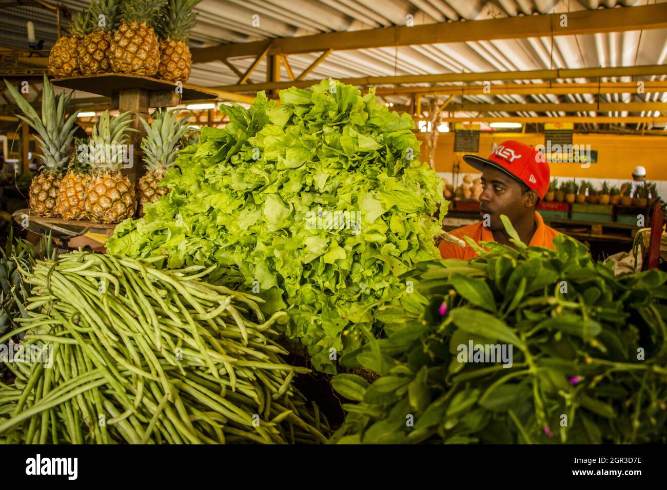 HABA, CUBA - Aug 13, 2017: The agro market with its varieties of ...