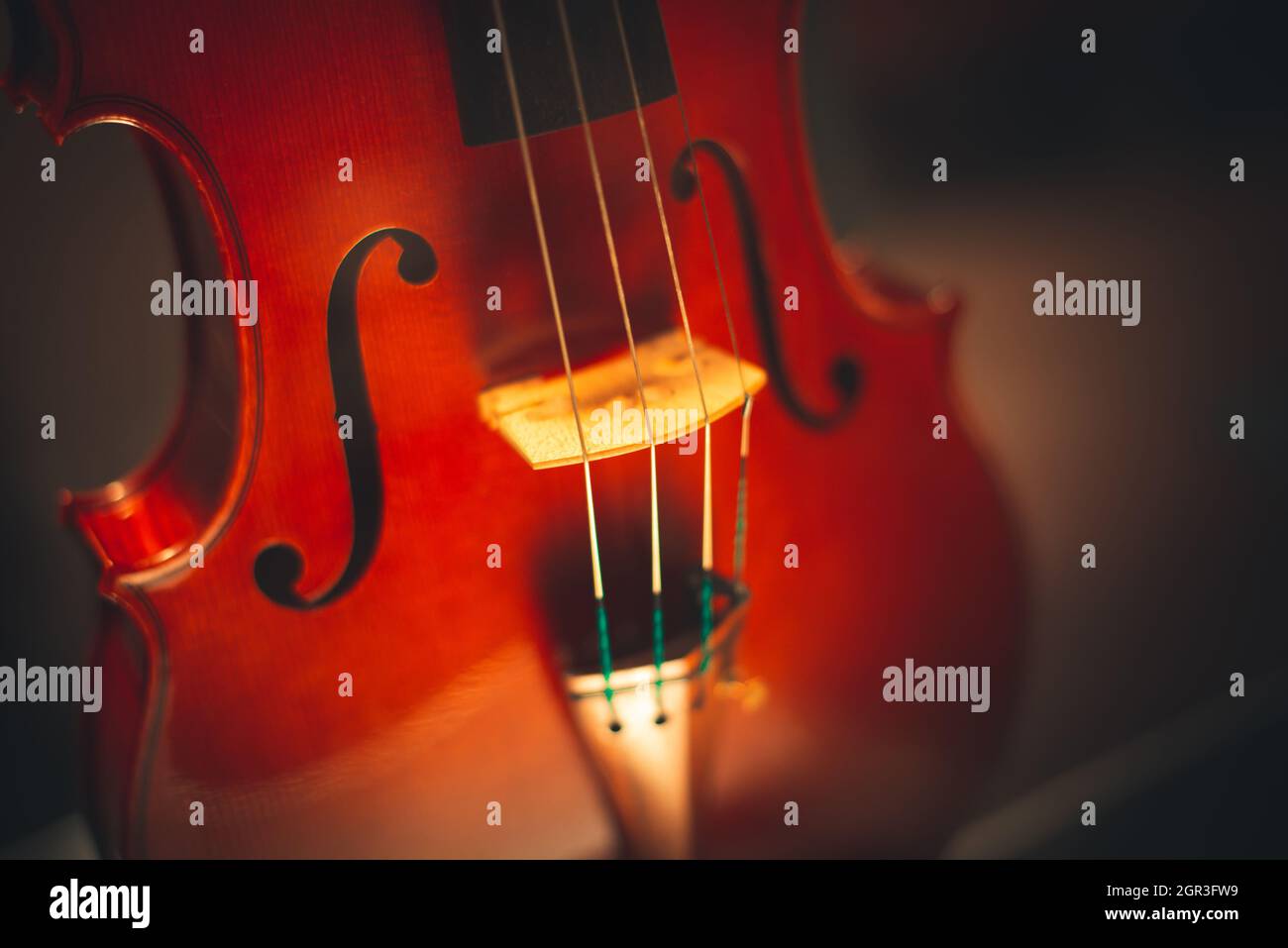 Maker Of Stringed Instruments High Resolution Stock Photography and ...