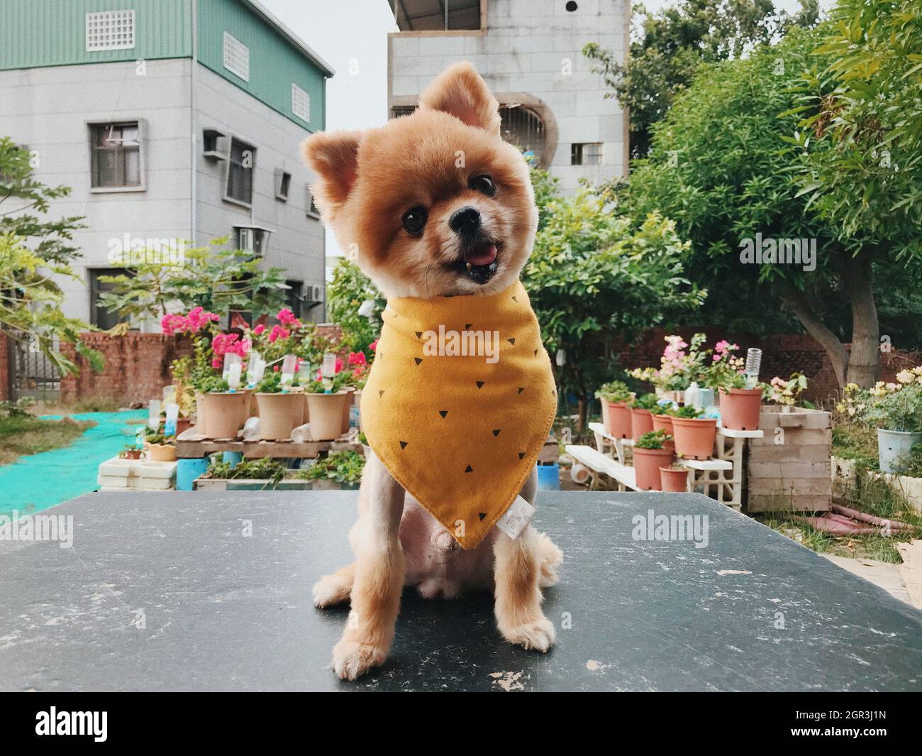 Madel High Resolution Stock Photography and Images - Alamy