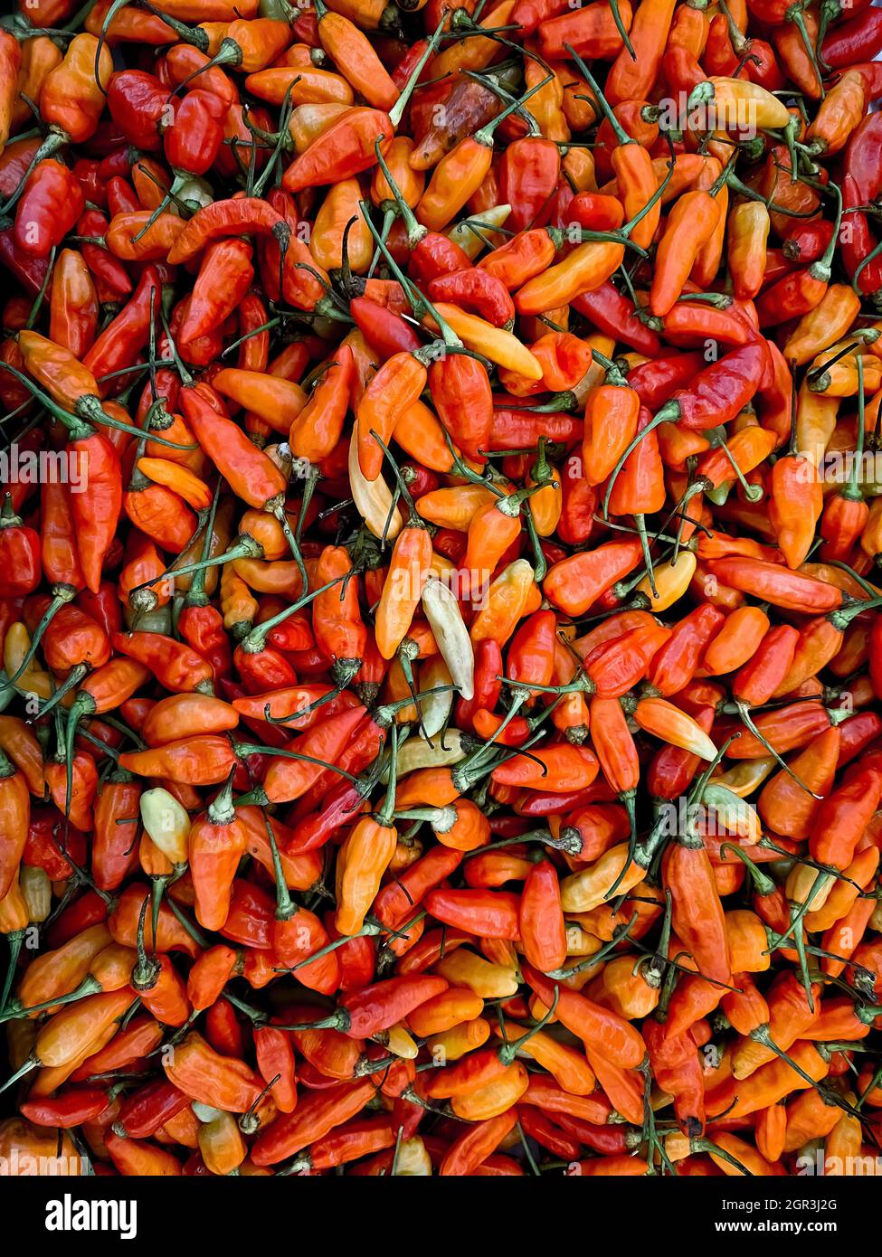 Chillies at night hi-res stock photography and images - Alamy