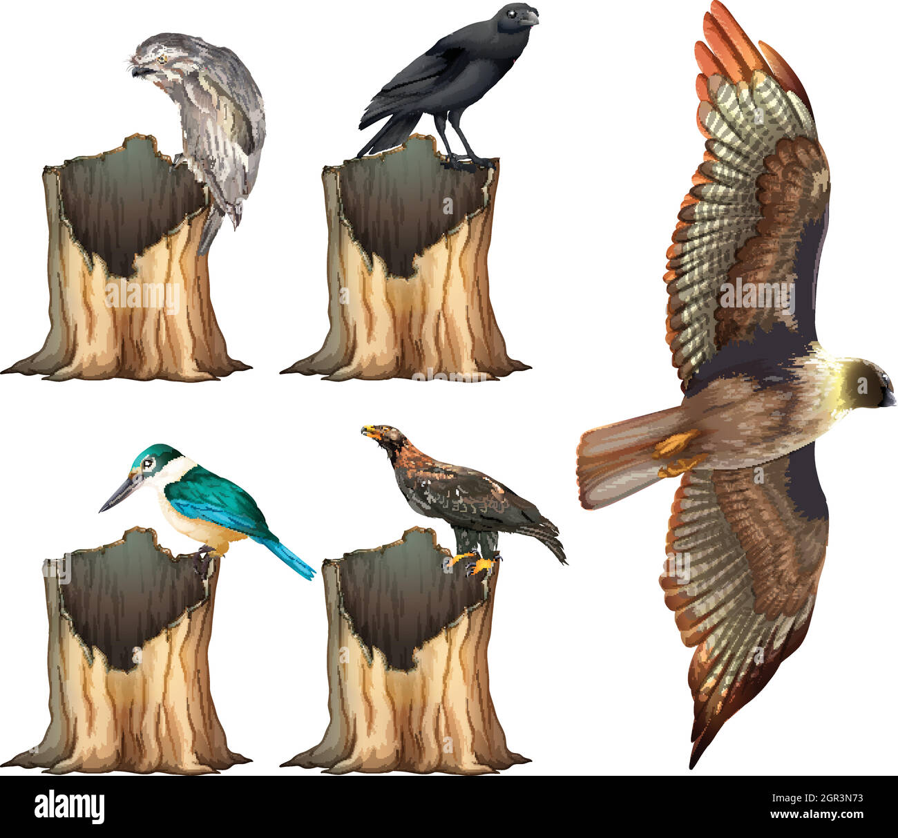 Log path Stock Vector Images - Alamy