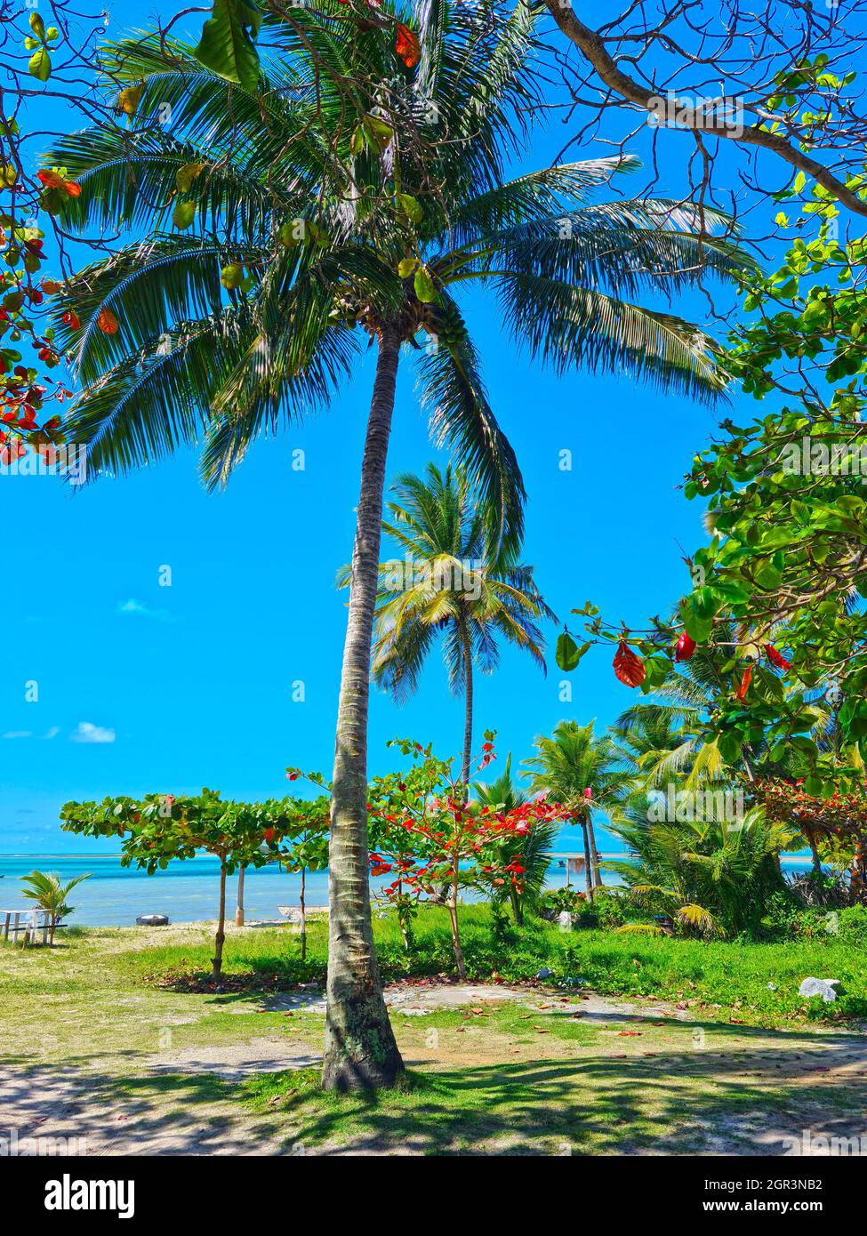 Coroa Vermelha beach in Porto Seguro, Bahia - Tourism and destinations ...