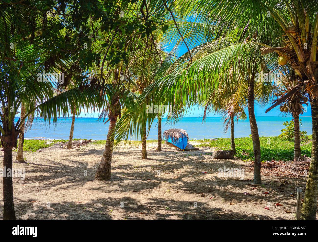Coroa Vermelha beach in Porto Seguro, Bahia - Tourism and destinations ...