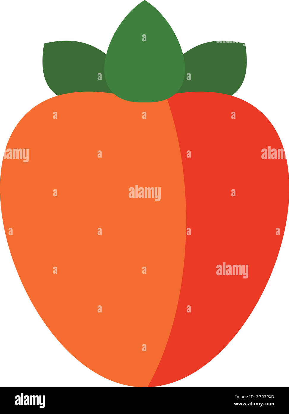 Organic persimmon fruit in Stock Vector Images - Alamy