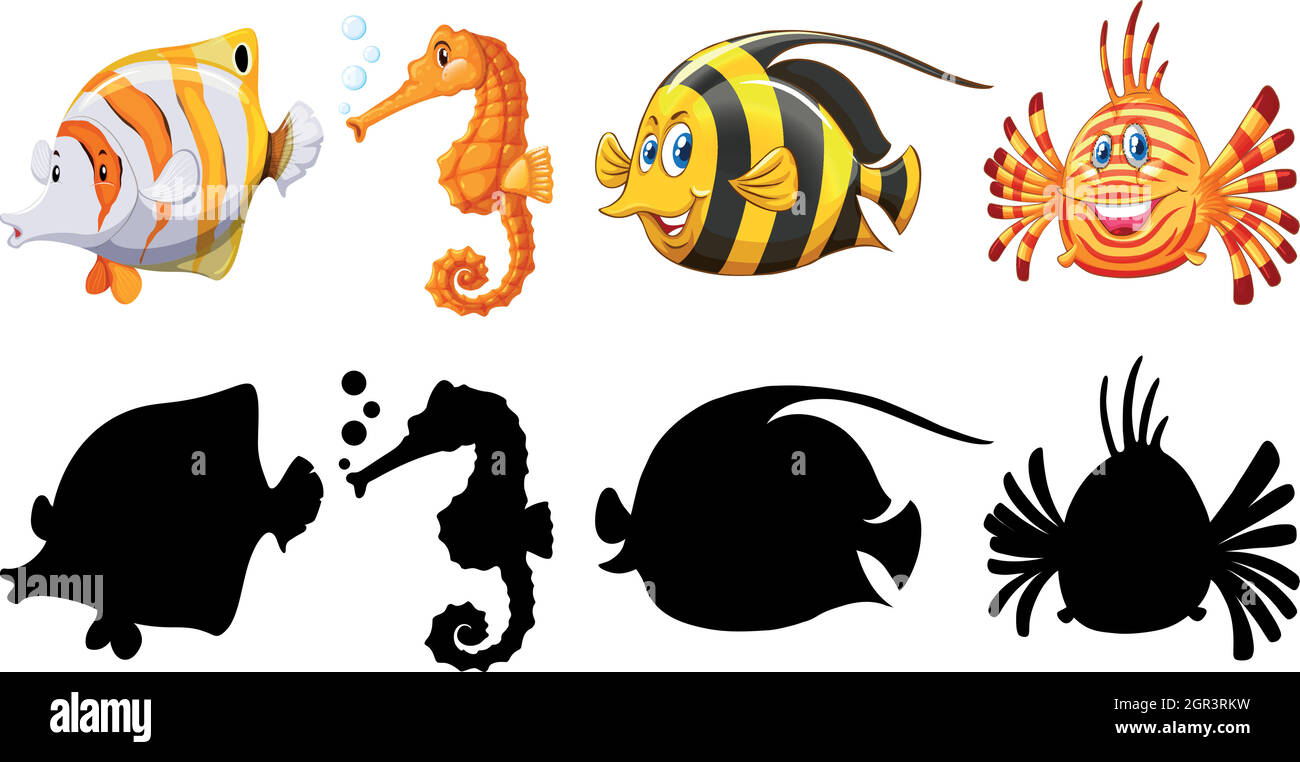 Simple fish outline drawing hi-res stock photography and images - Alamy