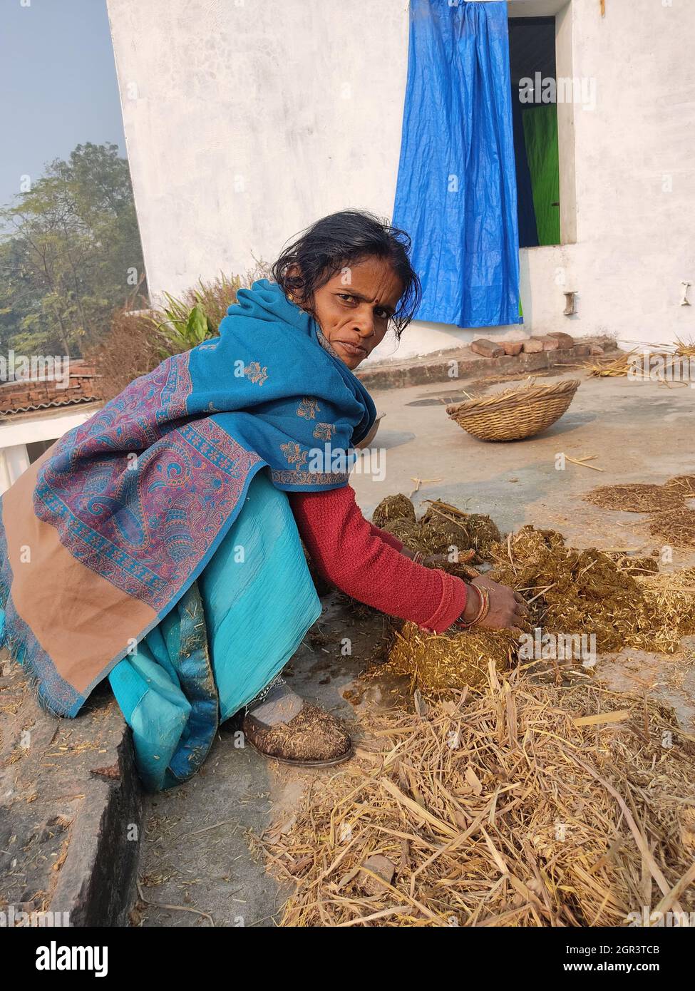 Woman manure india hi-res stock photography and images - Alamy