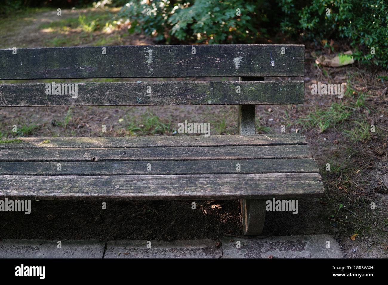 Old dirty bench in a park Stock Photo - Alamy