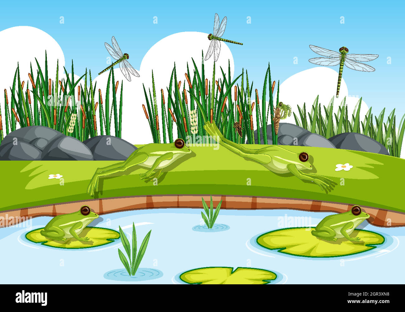 Many green frogs and dragonfly in the pond scene Stock Vector Image ...