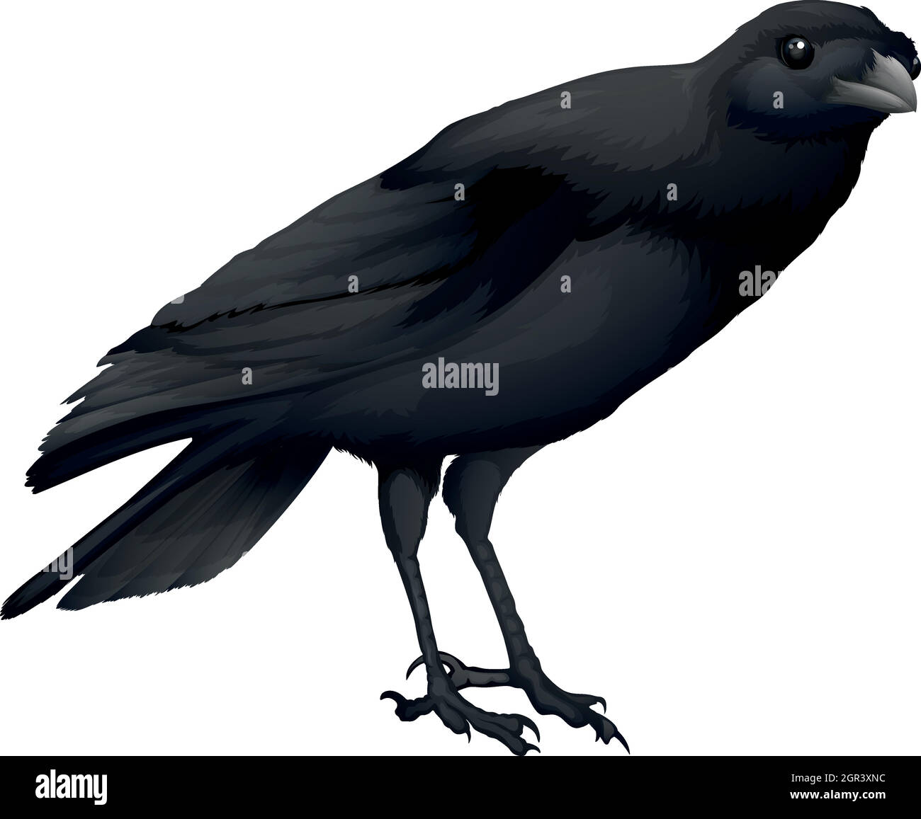 Crow Stock Vector Images - Alamy