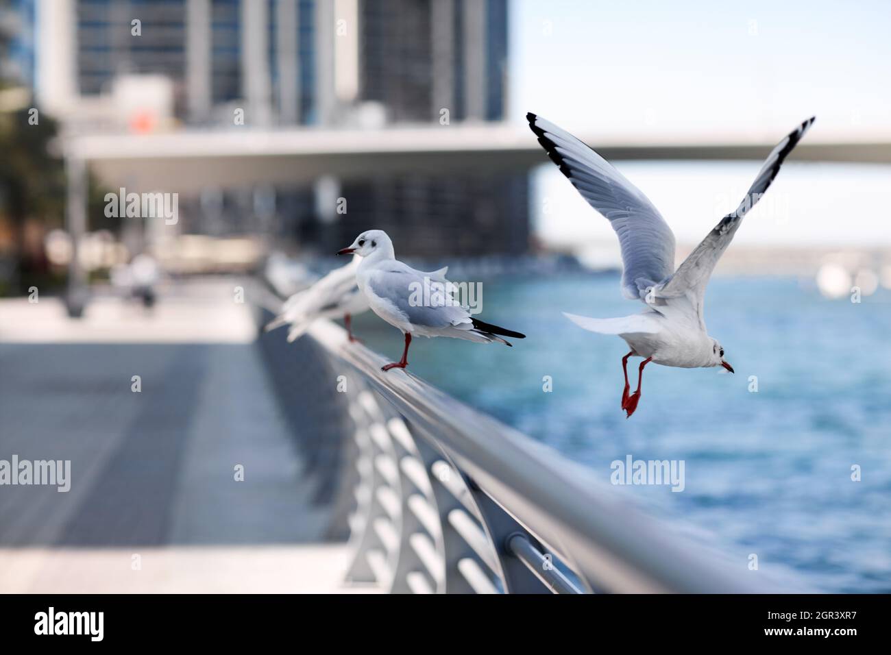 Part of parapet wall hi-res stock photography and images - Alamy