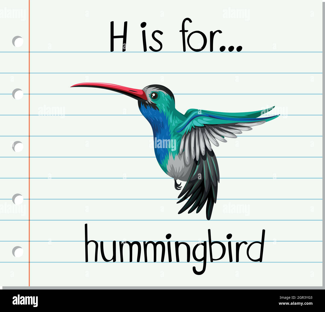 Flashcard letter H is for hummingbird Stock Vector Image & Art - Alamy