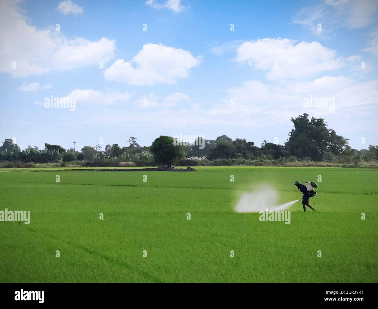 Fertilizer spraying lawn hi-res stock photography and images - Alamy