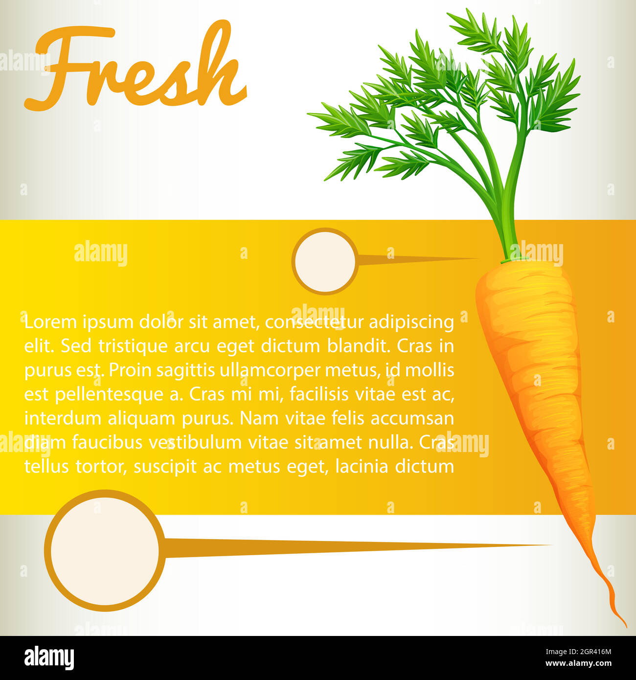 Carrot clipping path Stock Vector Images - Alamy