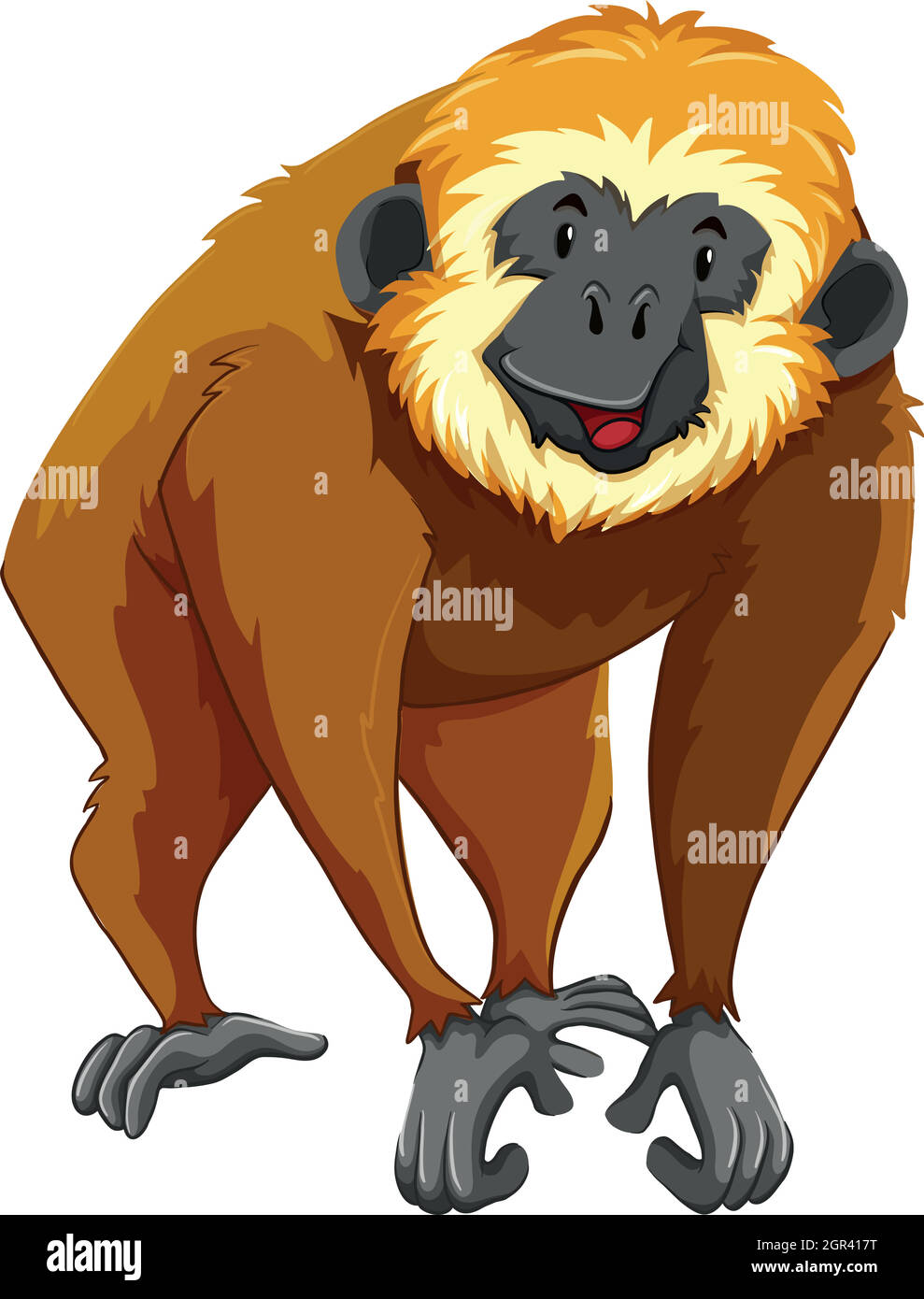 Gibbon drawing hi-res stock photography and images - Alamy