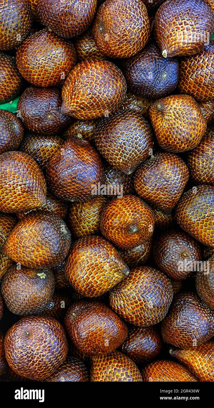 Snakeskin plant hi-res stock photography and images - Alamy