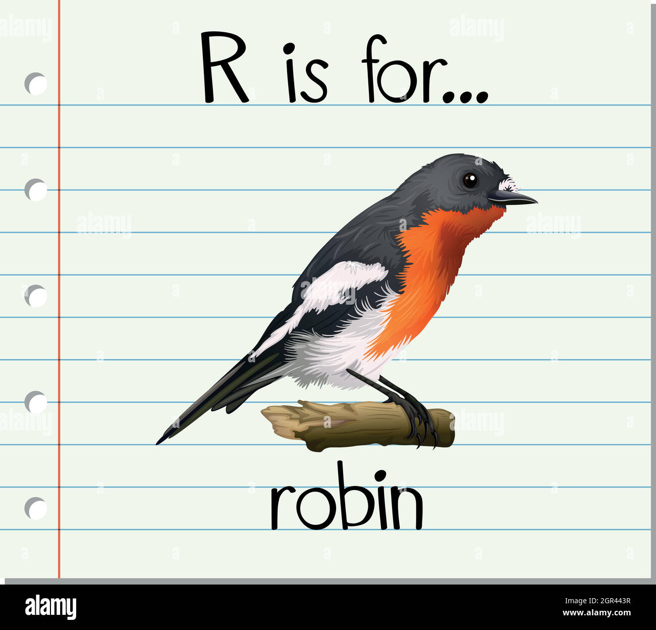 Flashcard letter R is for robin Stock Vector Image & Art - Alamy