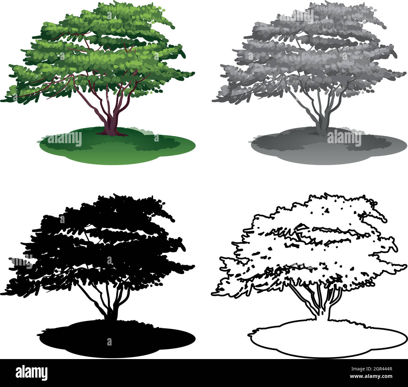 Set of tree on white background Stock Vector Image & Art - Alamy