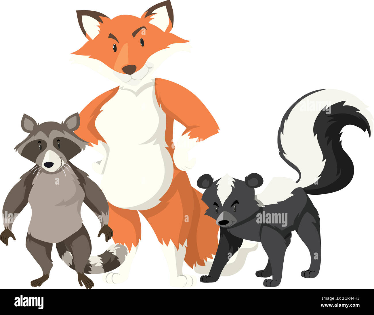 Fox and raccoon on white background Stock Vector Image & Art - Alamy