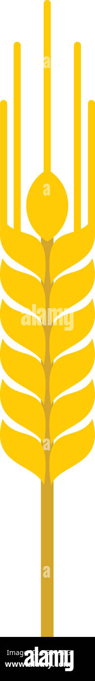 Ear of barley icon, flat style Stock Vector Image & Art - Alamy