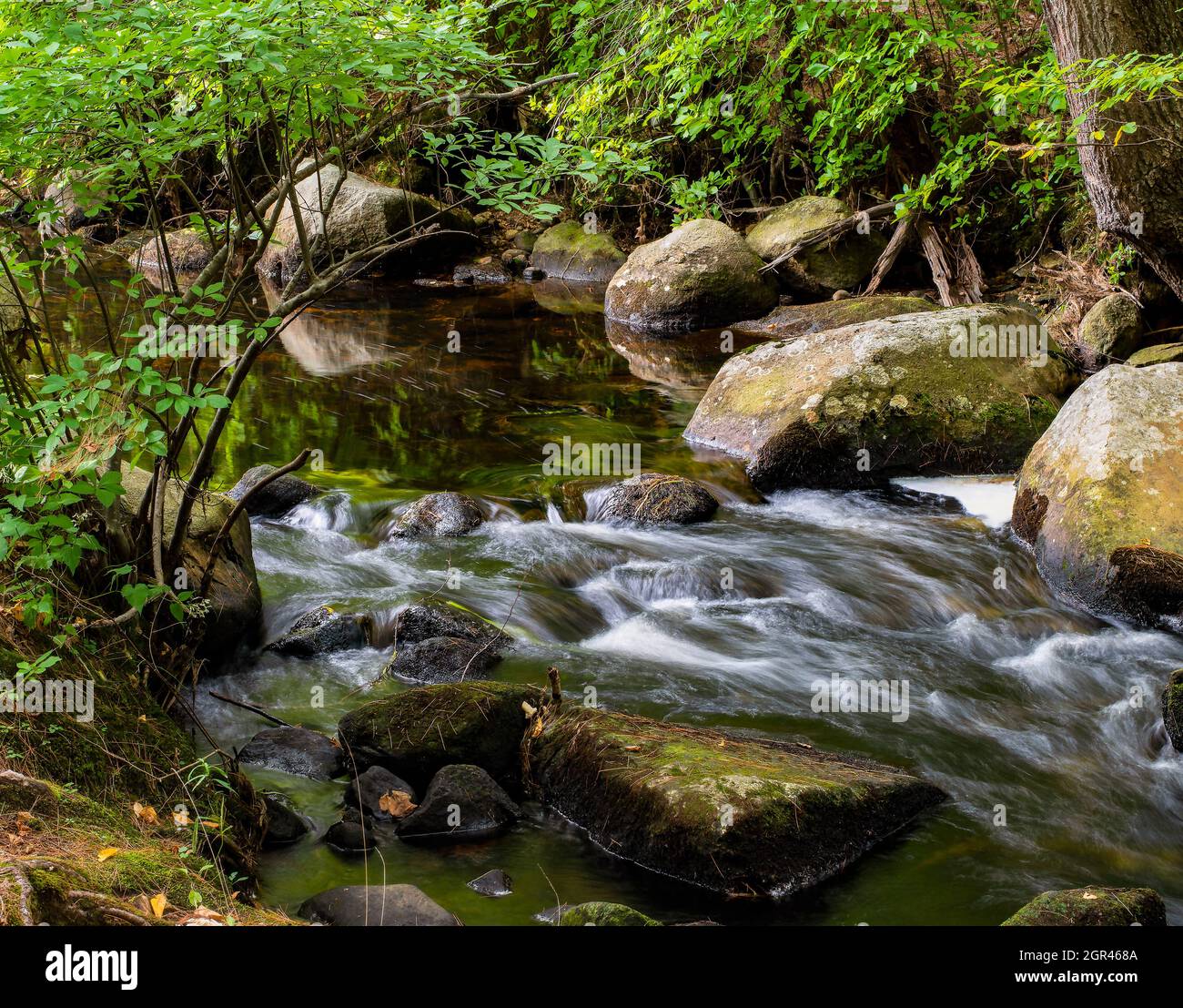 peal hill brook flowing through pearl hill state forest in townsend ...