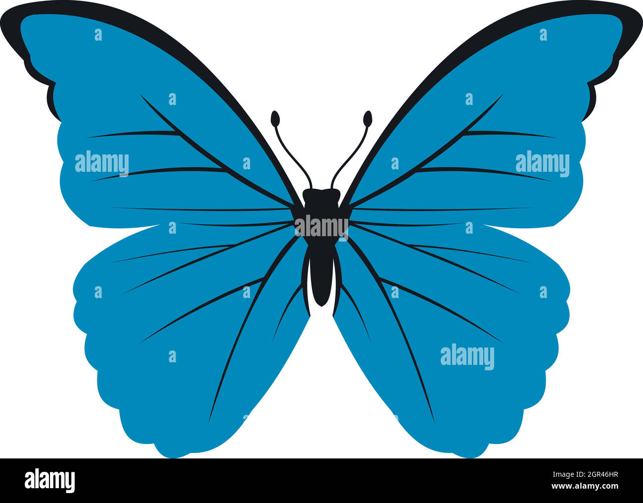 Butterfly in color Stock Vector Images - Alamy