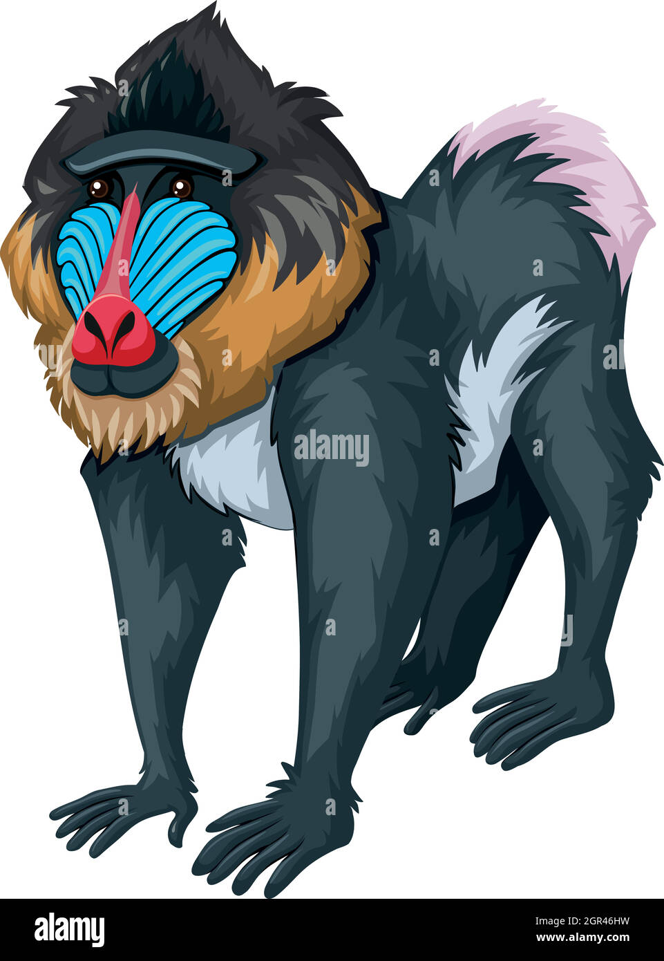 Baboon with happy face Stock Vector Image & Art - Alamy
