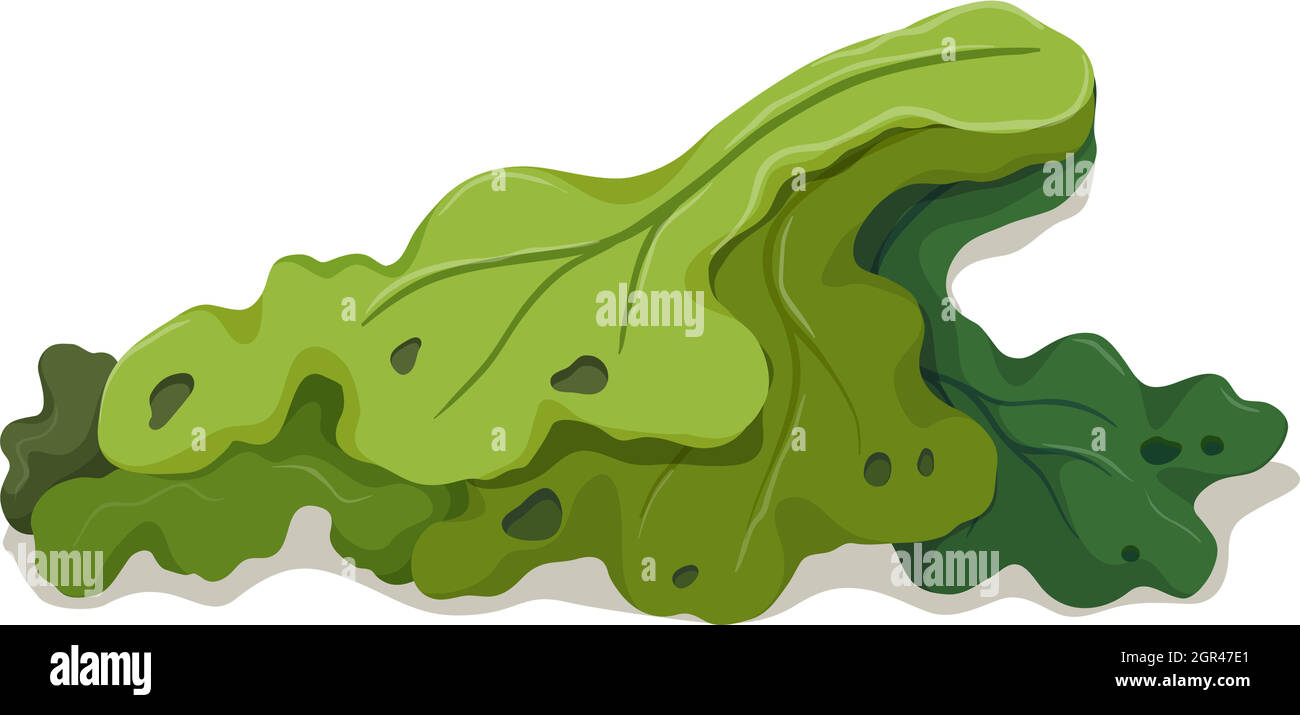 Rotten green vegetable on white background Stock Vector Image & Art - Alamy