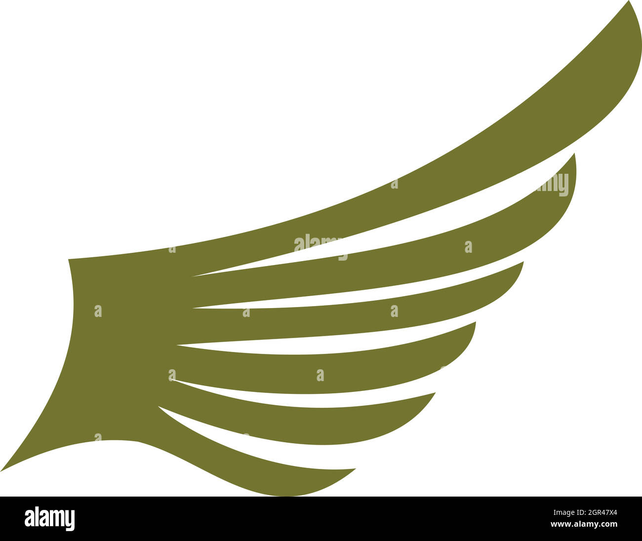 Green wing bird icon, flat style Stock Vector Image & Art - Alamy