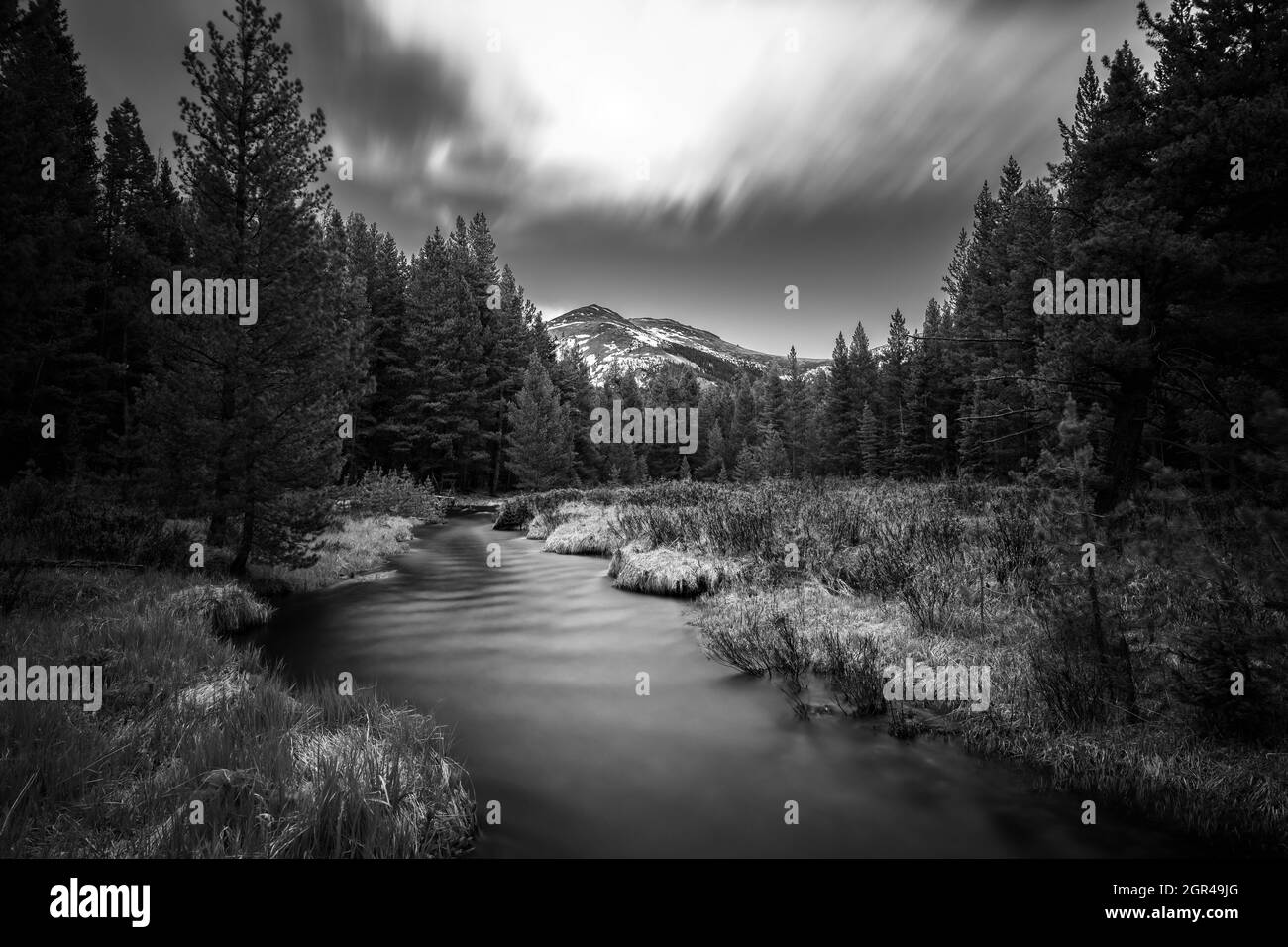 A mountain stream runs trough a small meadow lined with trees Stock ...