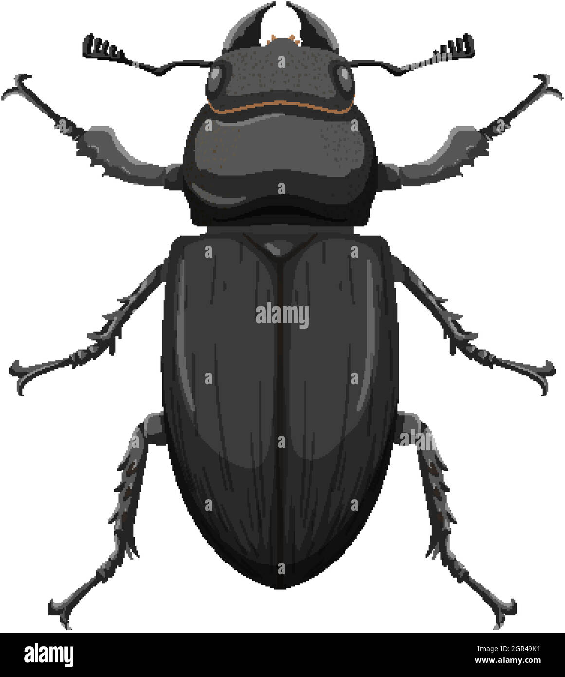 Metallic legs Stock Vector Images - Alamy