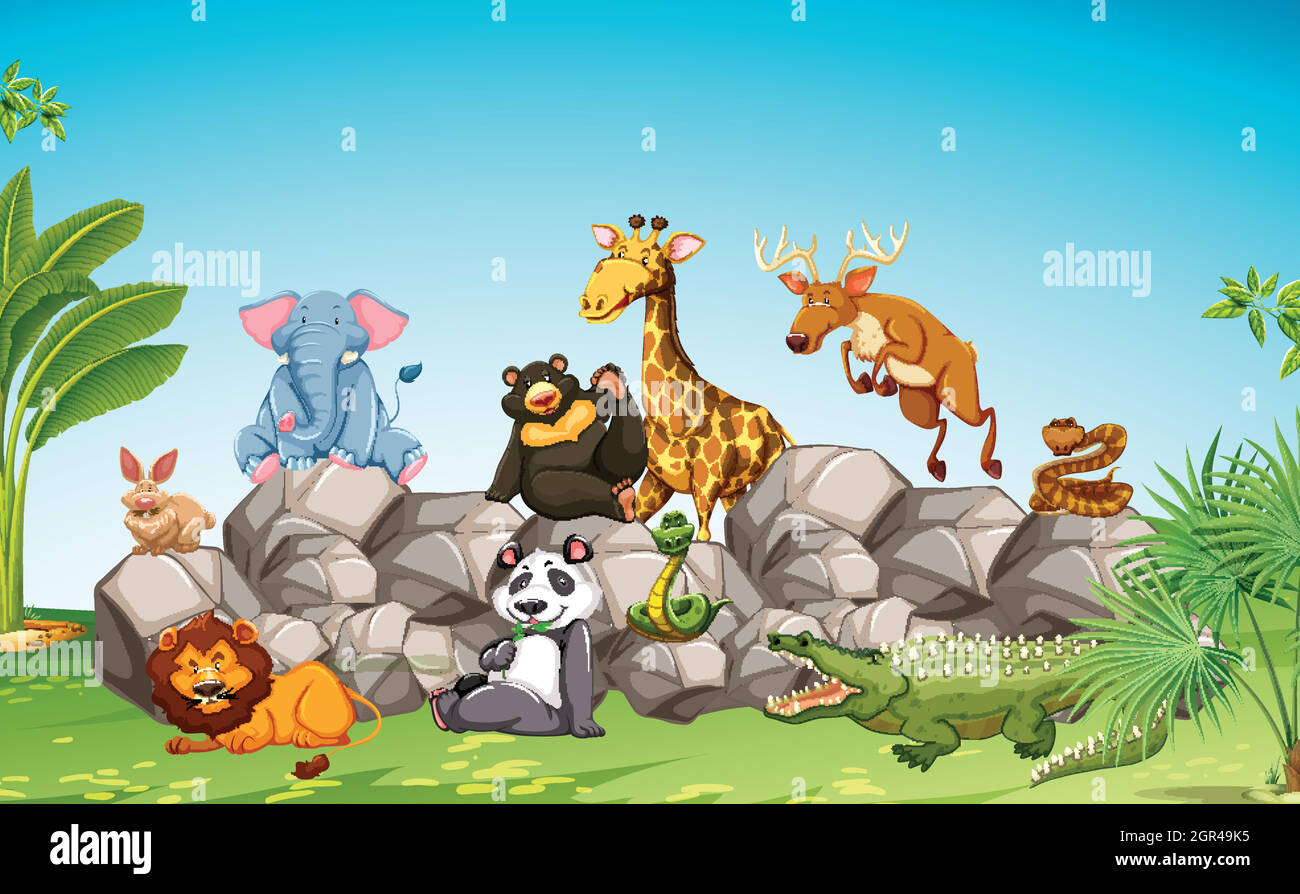 Panda on rock Stock Vector Images - Alamy