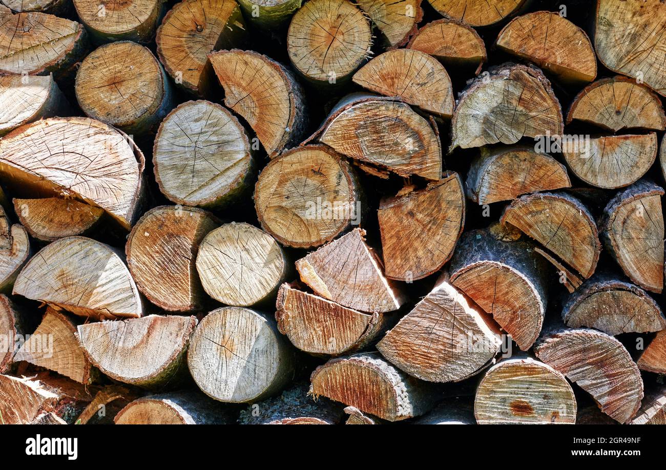 Wood pole cross section hi-res stock photography and images - Alamy