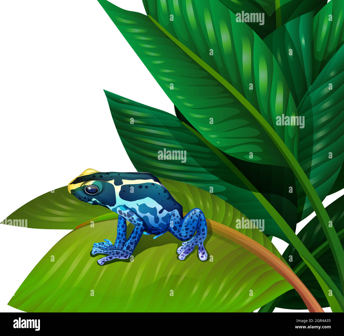 Frog prey Stock Vector Images - Alamy