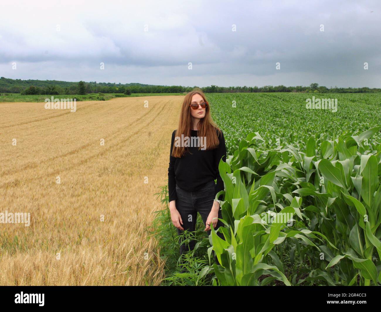Crop modeling hi-res stock photography and images - Alamy