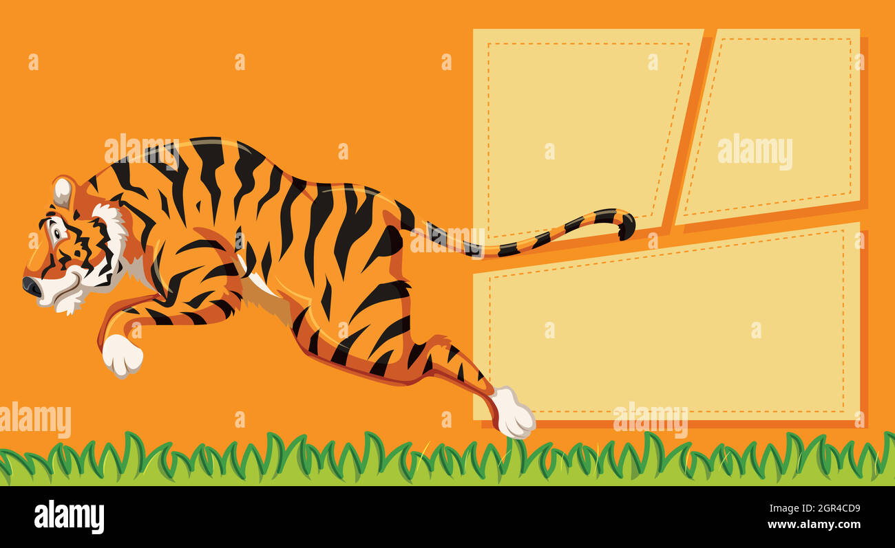 Tiger Picture Frame High Resolution Stock Photography and Images - Alamy