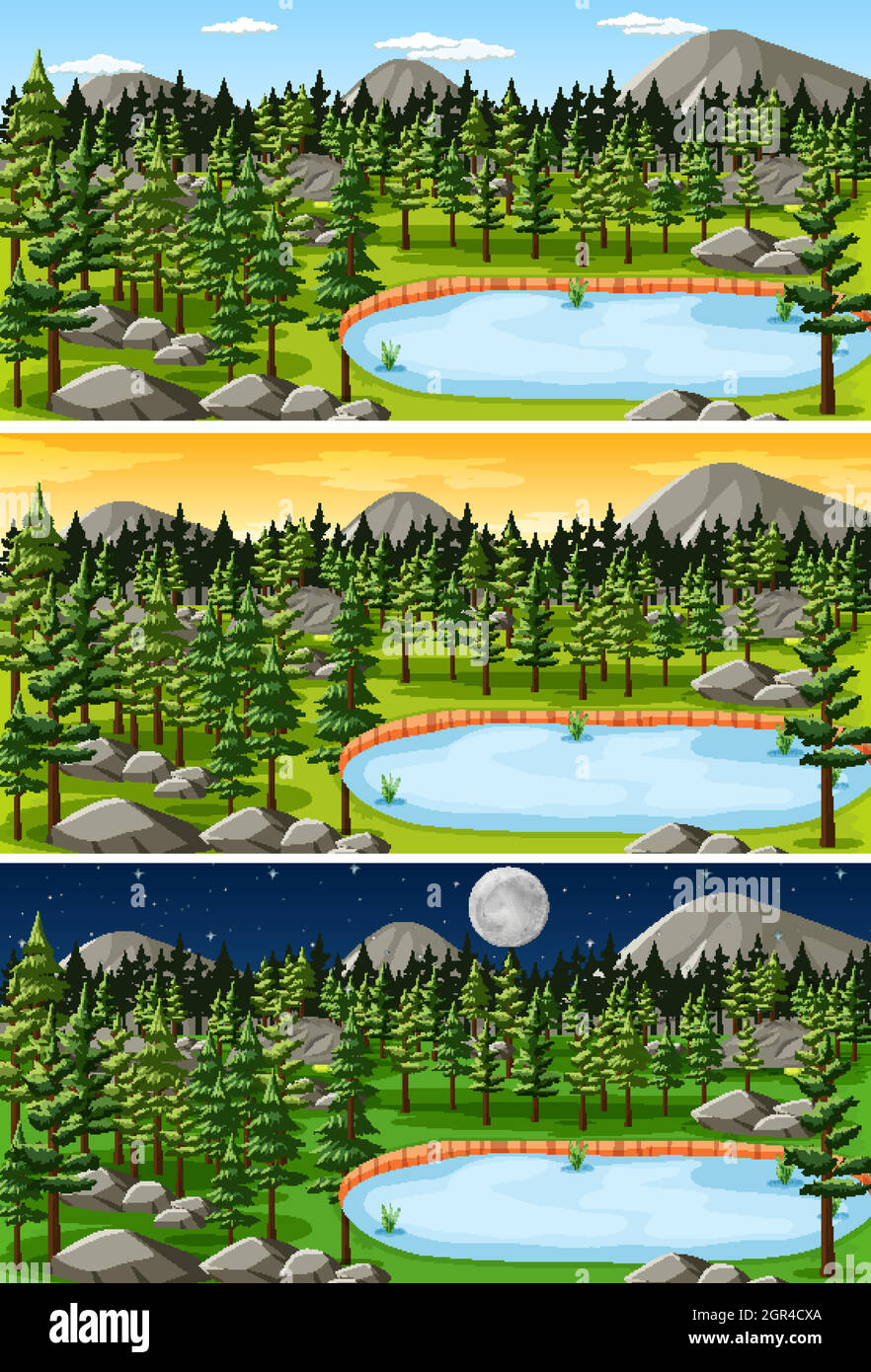 Forest landscape in different time in a day Stock Vector Image & Art ...