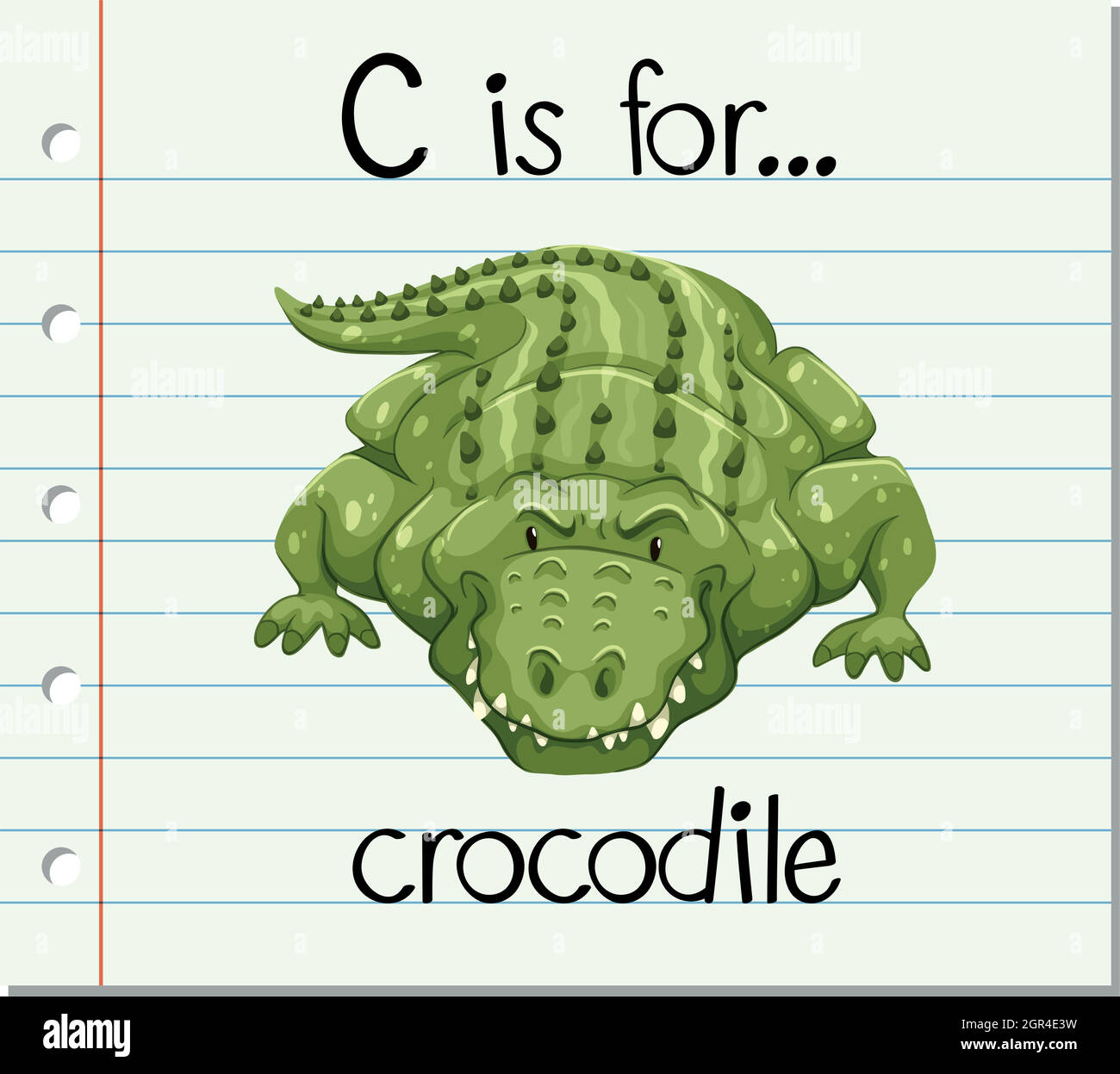 Flashcard letter C is for crocodile Stock Vector Image & Art - Alamy