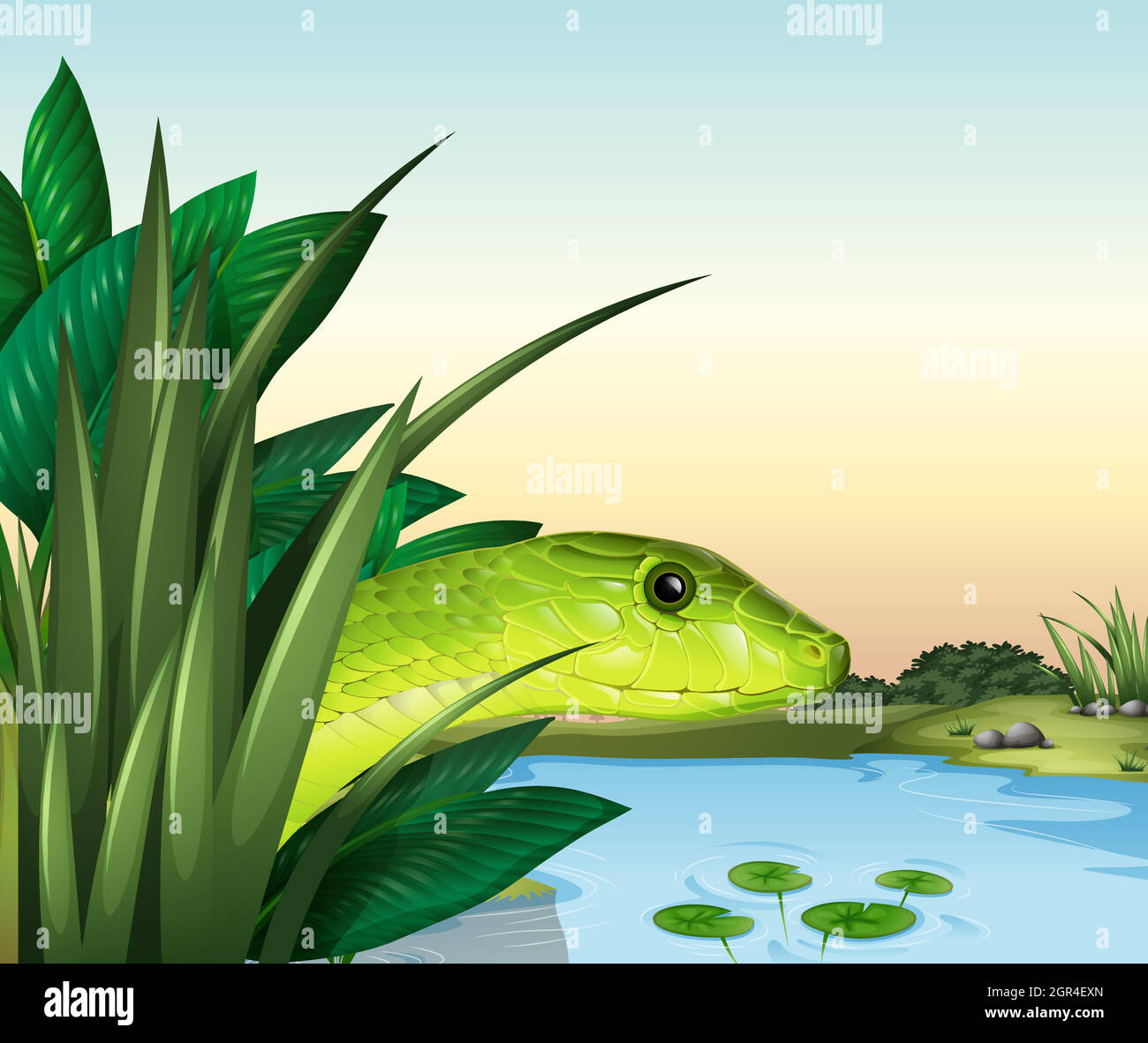 Snake habitat Stock Vector Images - Alamy