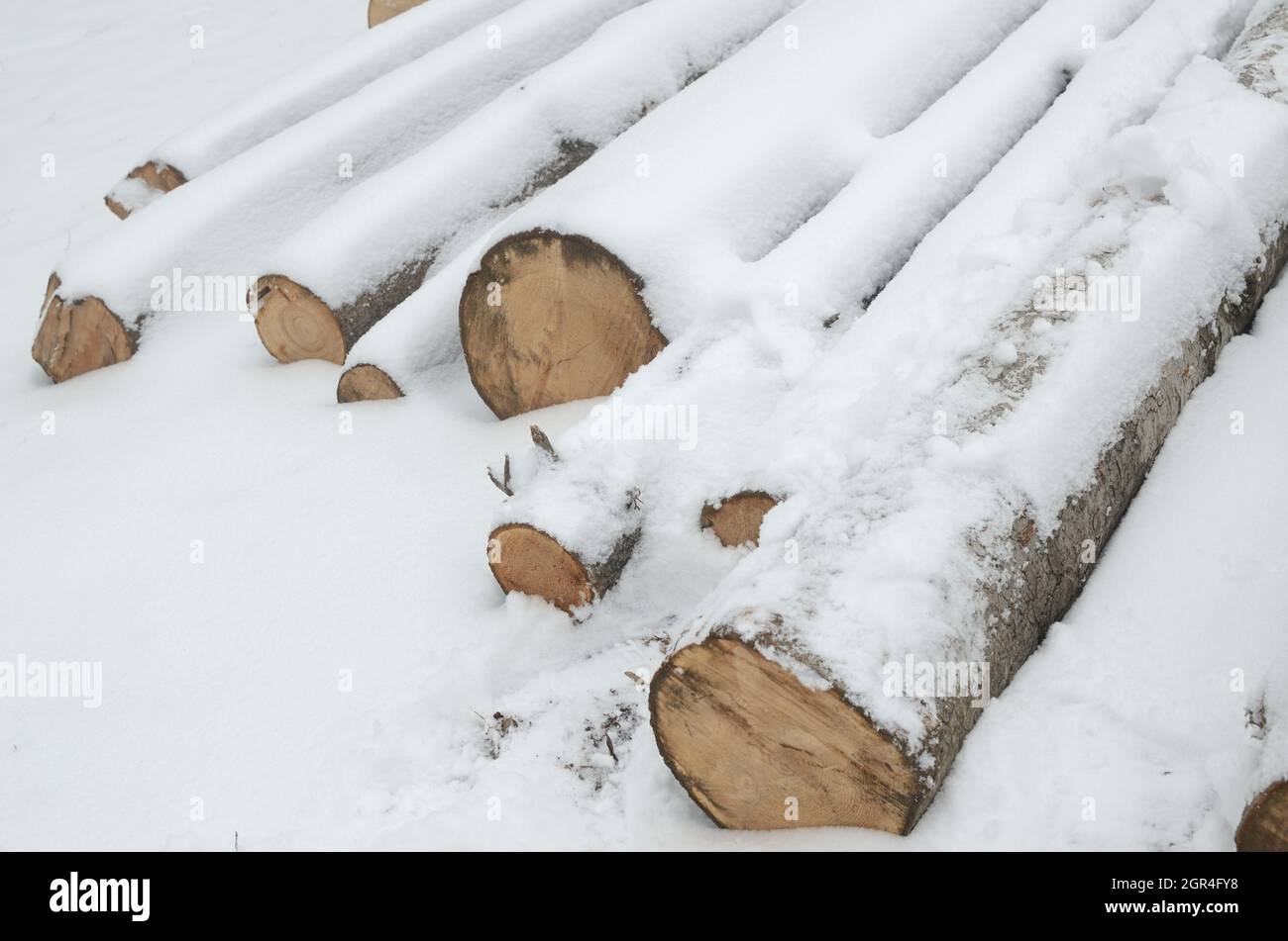 Thin snow hi-res stock photography and images - Alamy