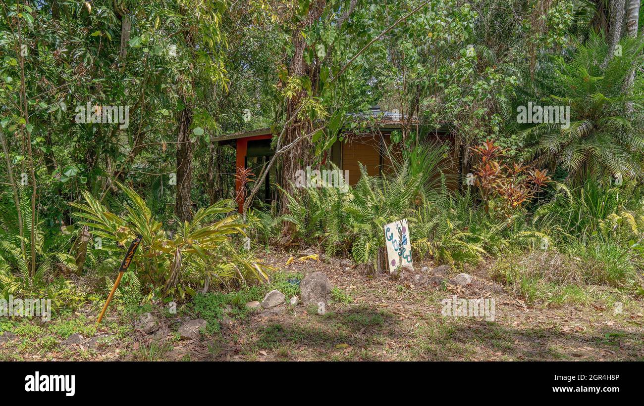 A closed cafe building in a bushland setting slowly being covered by ...