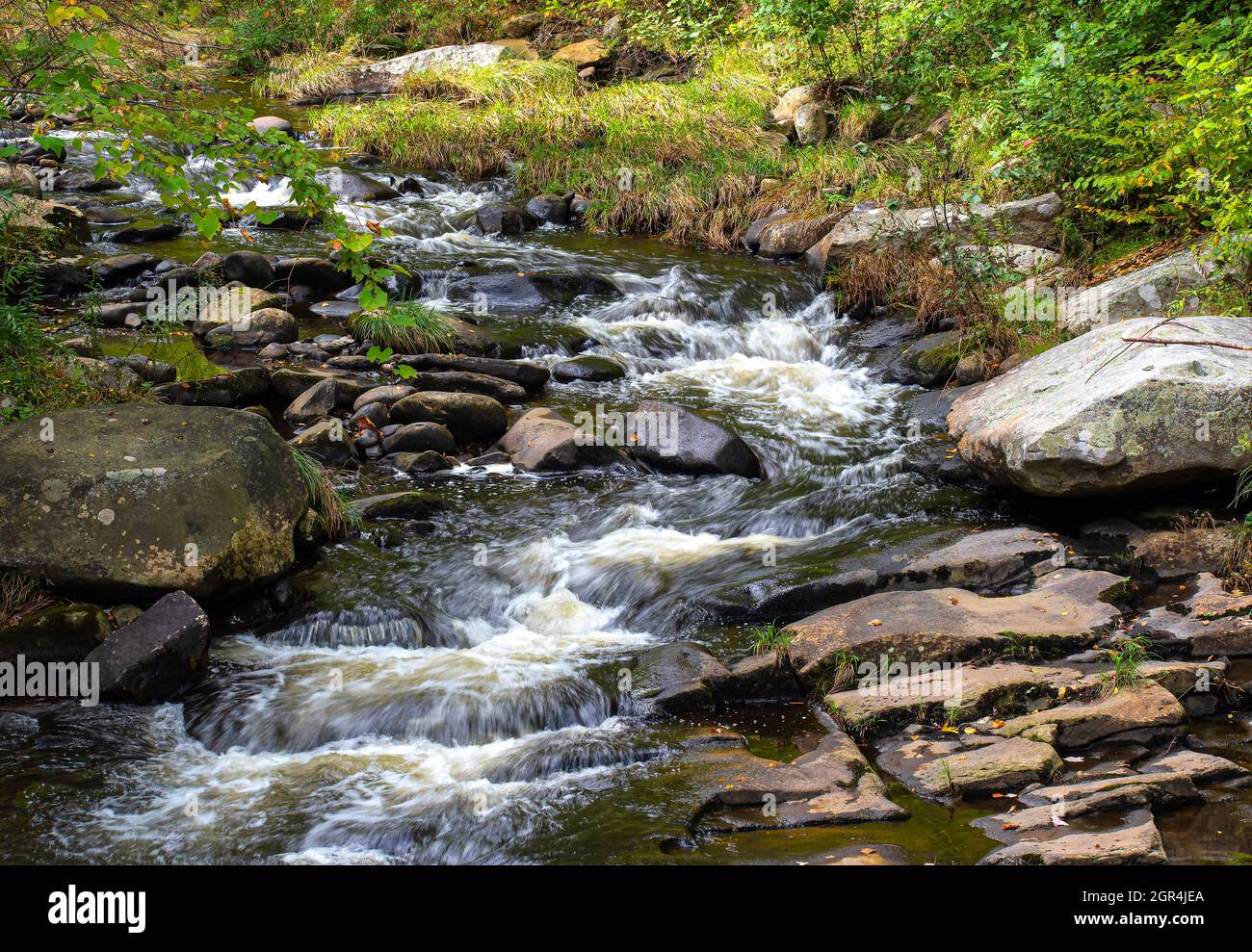 willard brook flowing through willard brook state forest in townsend ...