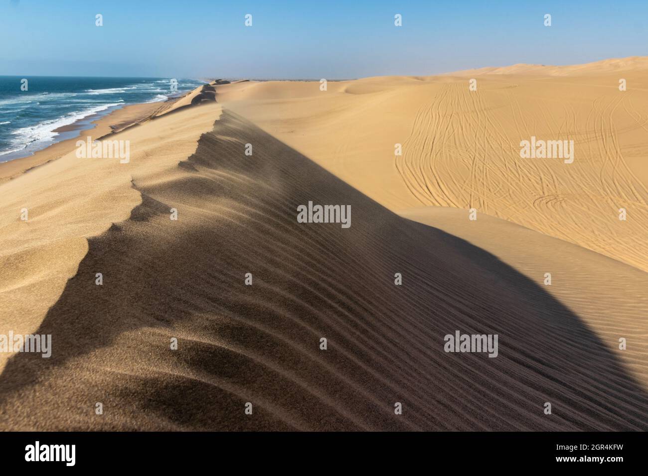 Sandwich harbour namibia animal hi-res stock photography and images - Alamy