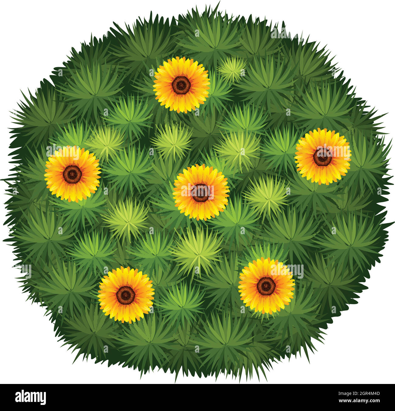 Bush with flower Stock Vector Images - Alamy