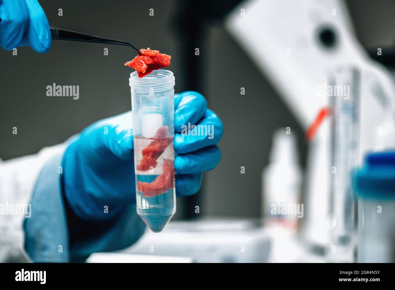 Beef safety hi-res stock photography and images - Alamy